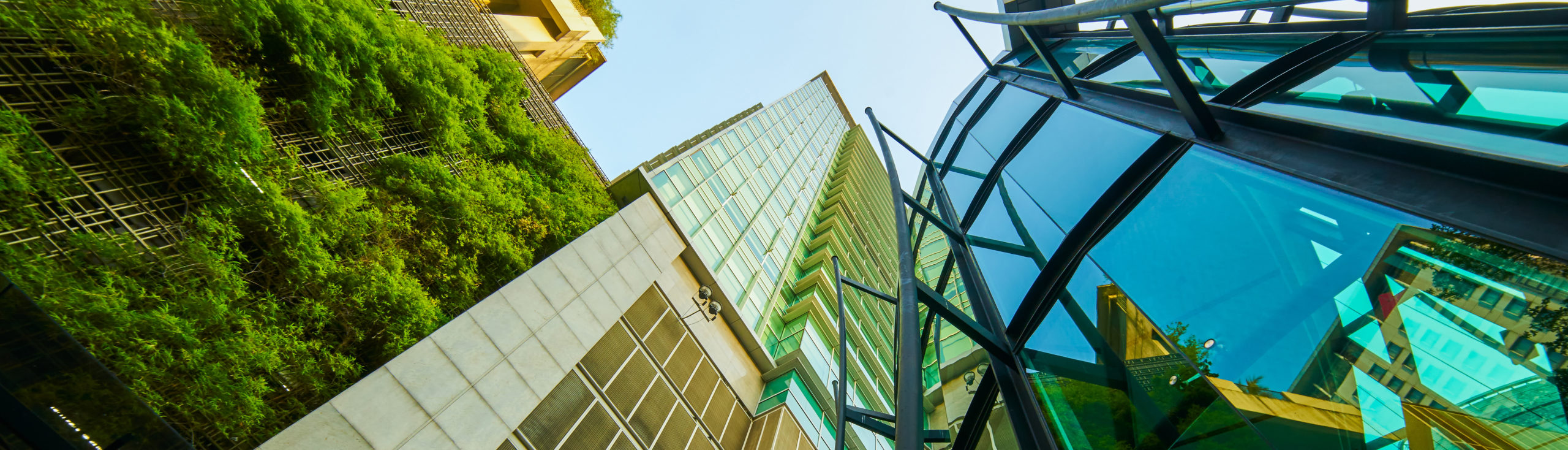 Diversified and actively managed funds | Tatton Investment Management