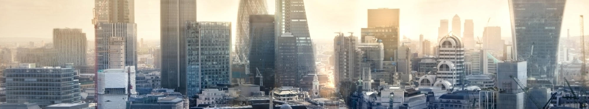 Tatton Investment Management Fund Stable | Tatton Investment Management